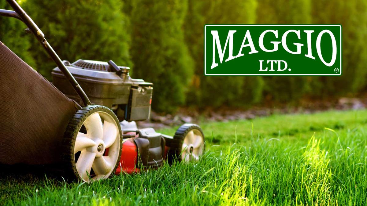 Grub Control | Maggio LTD.