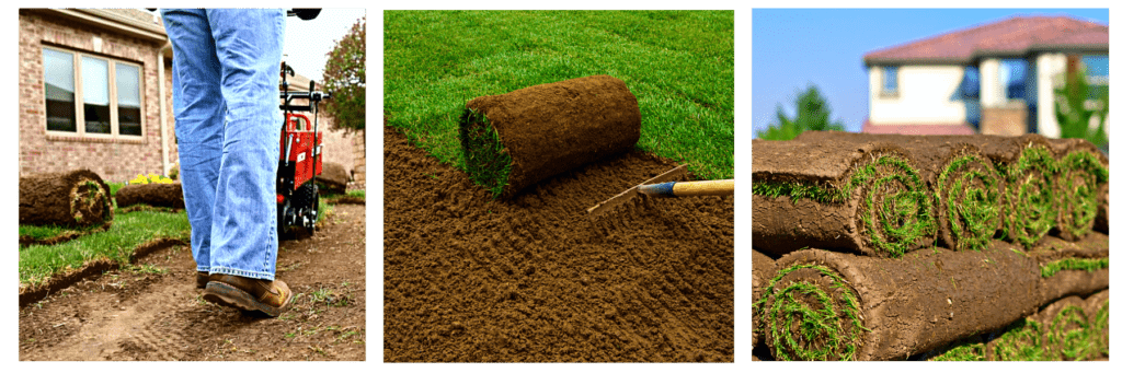 Sod Installation | Maggio LTD.